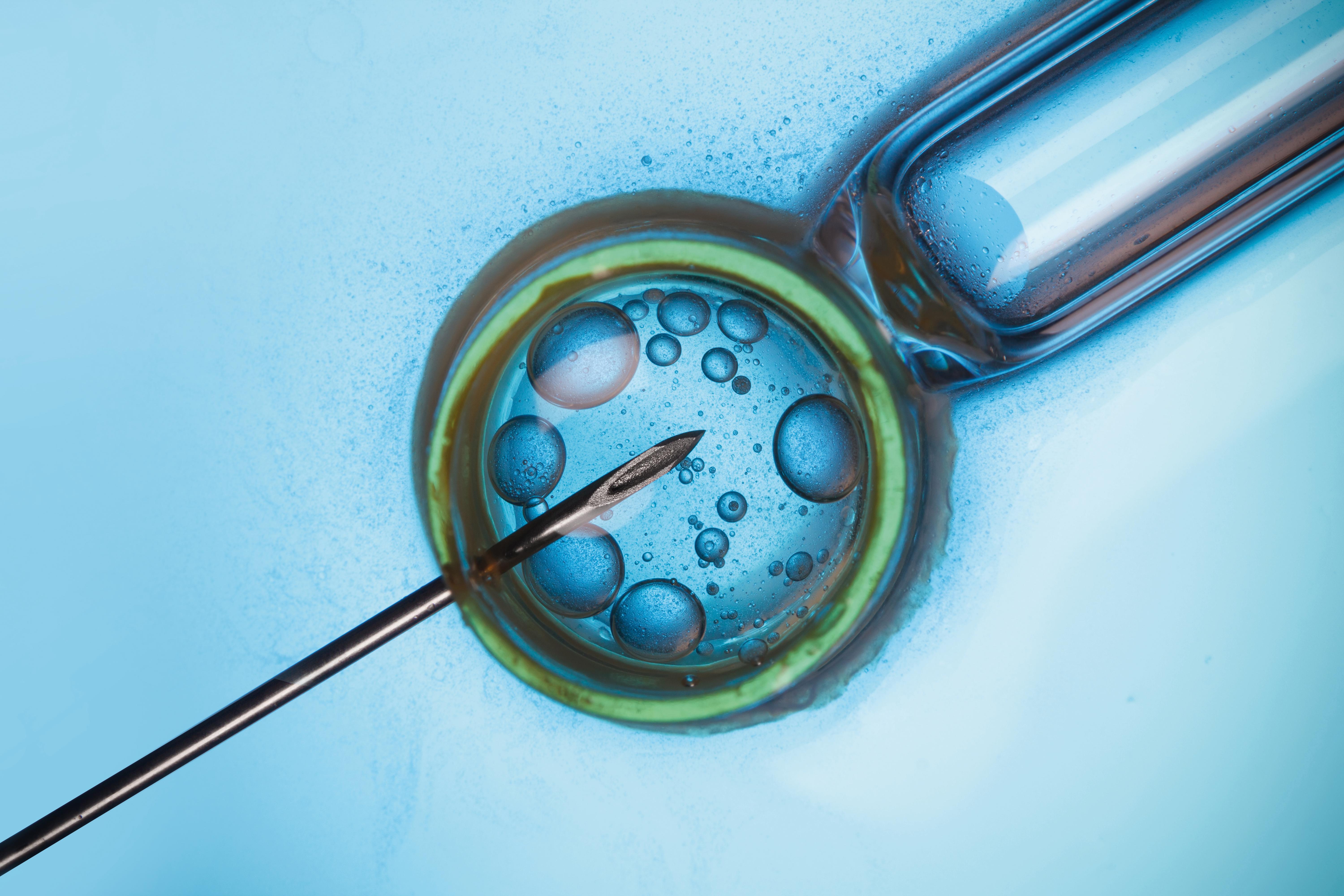 Natural or mild IVF